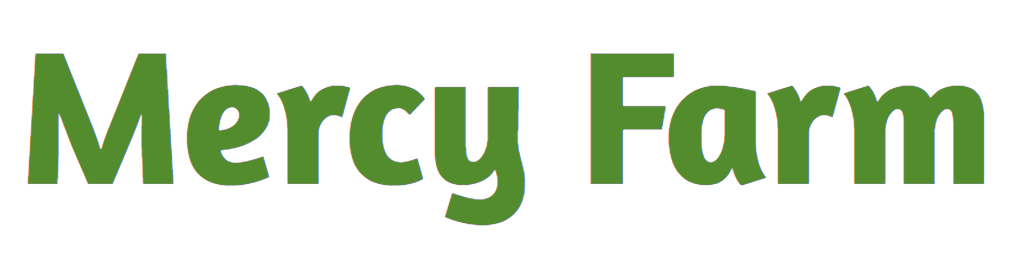 Organisations | Mercy World