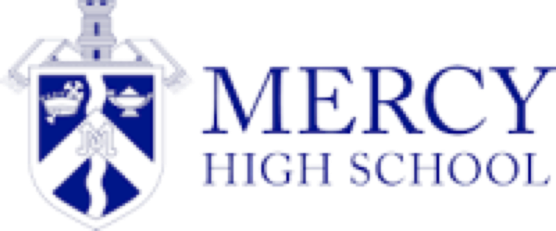 Organisations | Mercy World